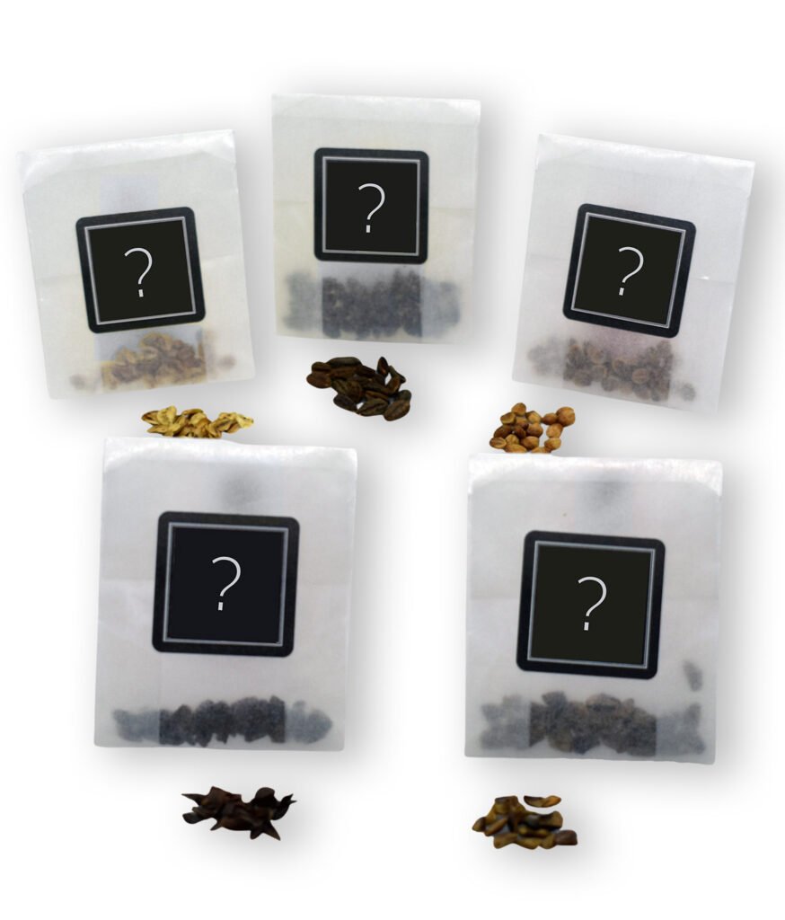 Random Bonsai Seed Collection – Yugen Bonsai