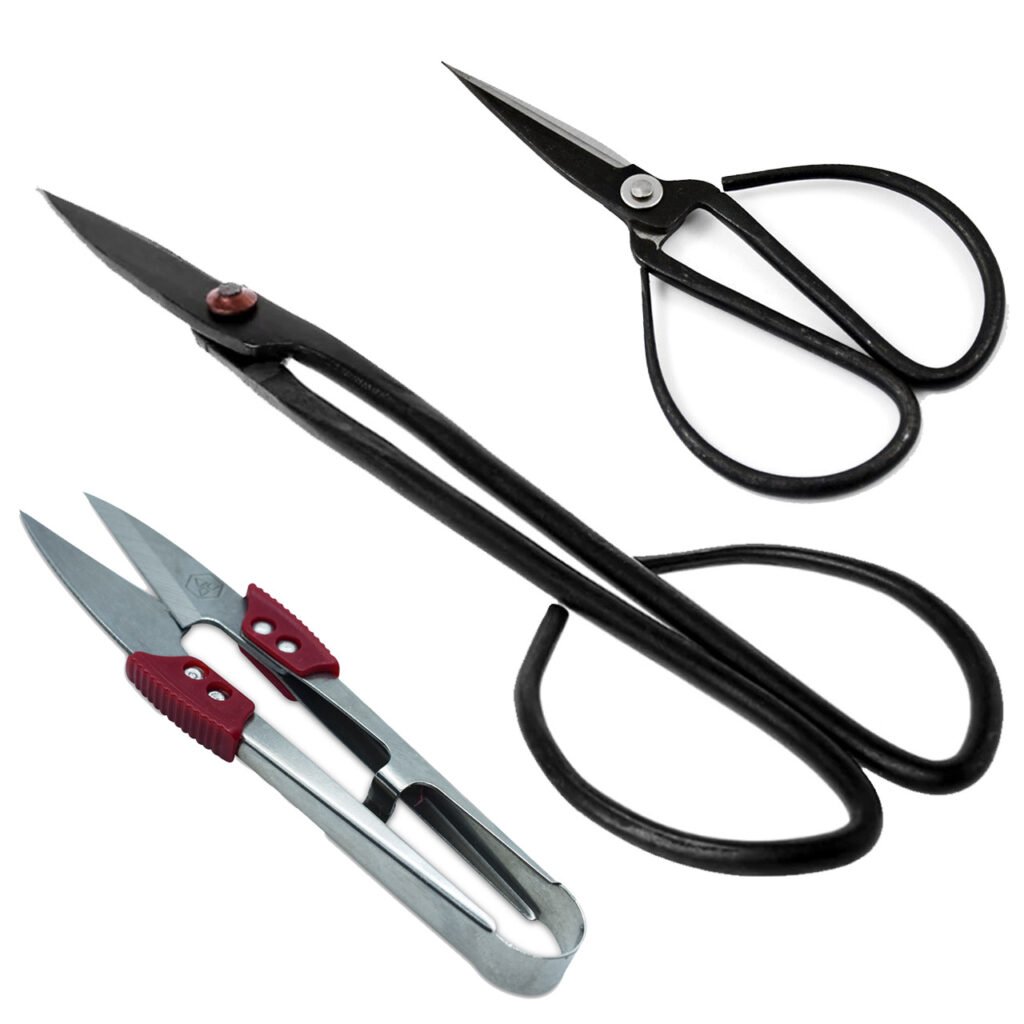 Apprentice Bonsai Starter Kit Bundle – Yugen Bonsai